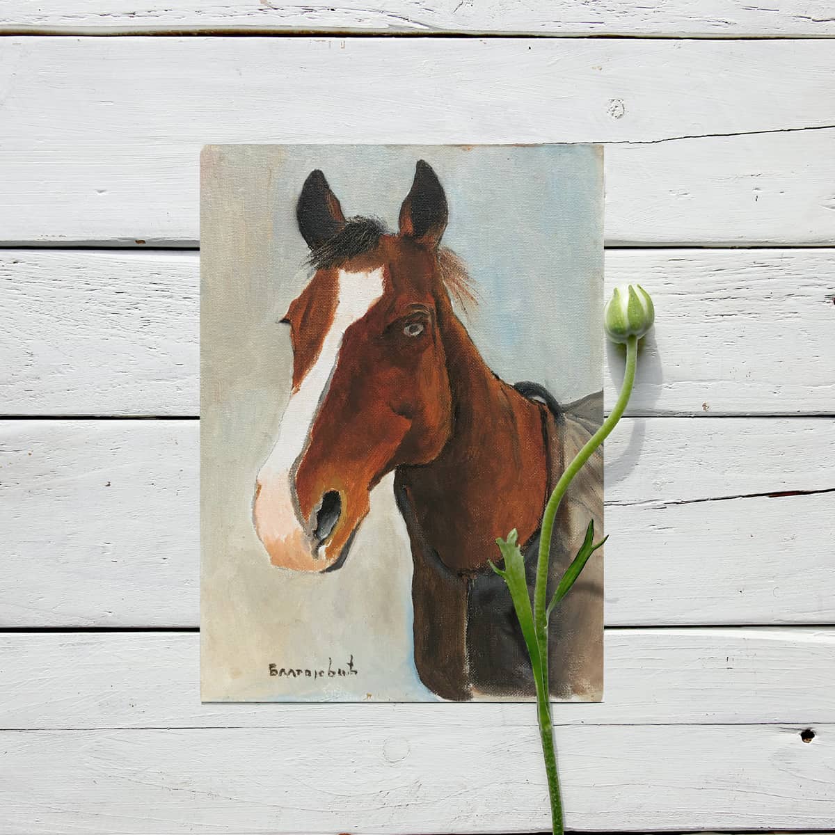 Canadian Countryside Greeting Cards - Pack of 6 - Old Barn Flower Farm