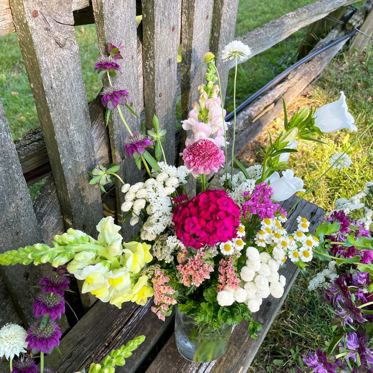 DIY Flower Buckets - Mixed - Old Barn Flower Farm - Uxbridge, ON